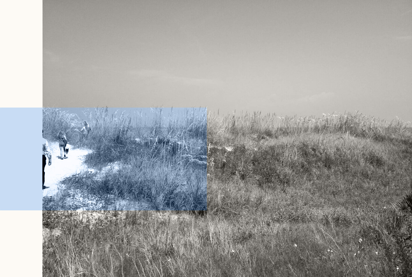 Learn – PRE Collective